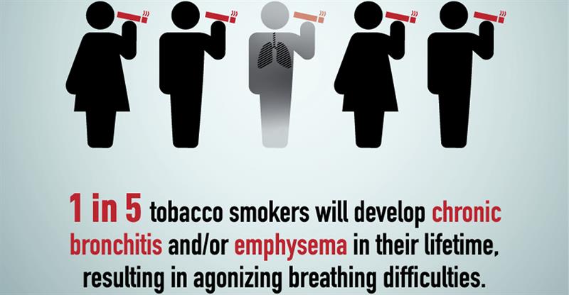 Ministry of Agriculture, Fisheries, Food Security and Rural Development